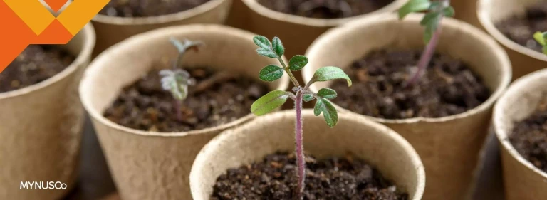 What Is Biodegradation: Meaning, Types, Examples & Factors Explained